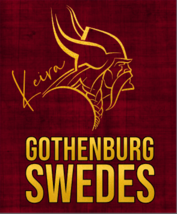 Swedes Logo Blanket – DreamBaby Customs