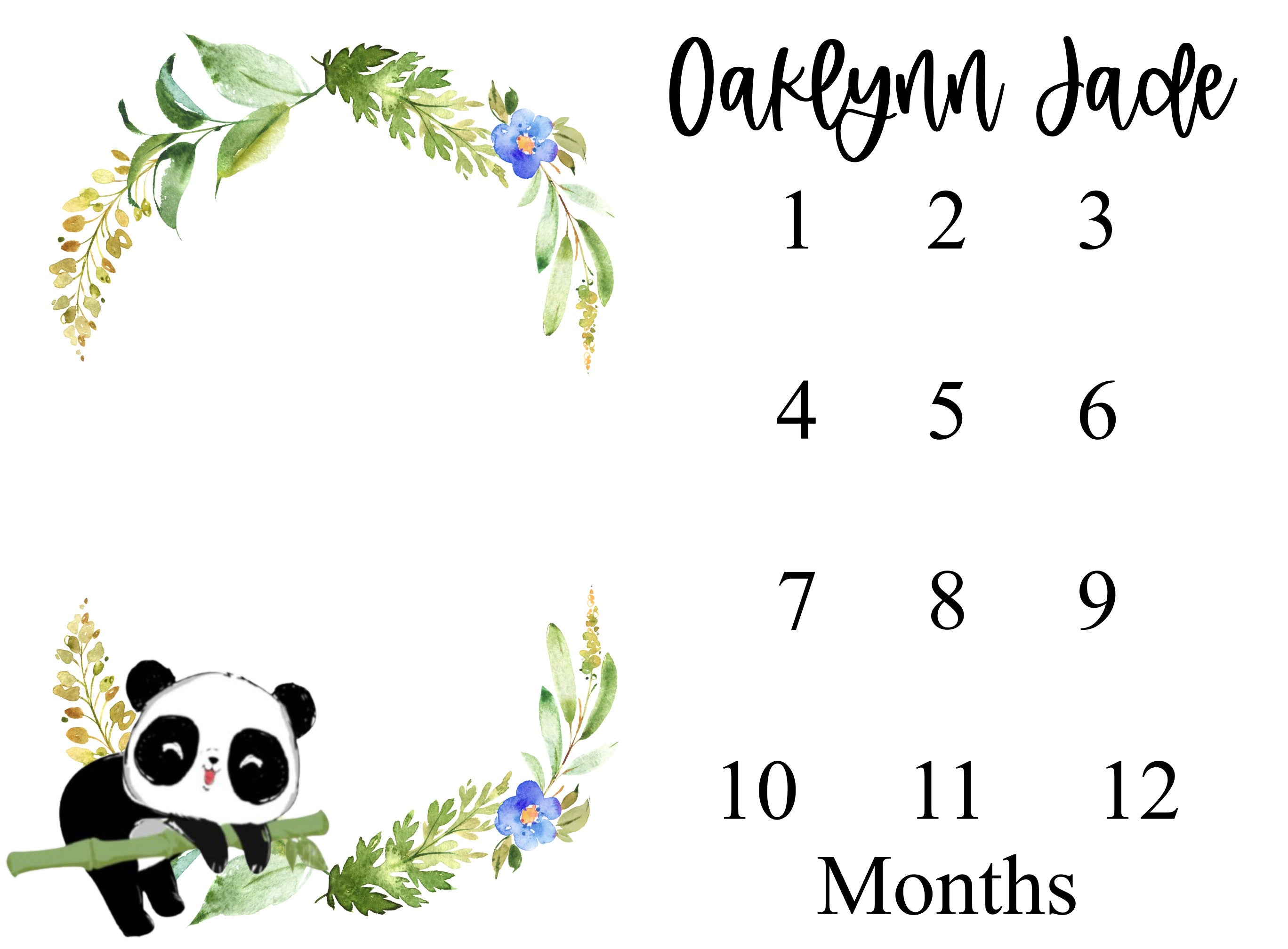 Panda Milestone – DreamBaby Customs